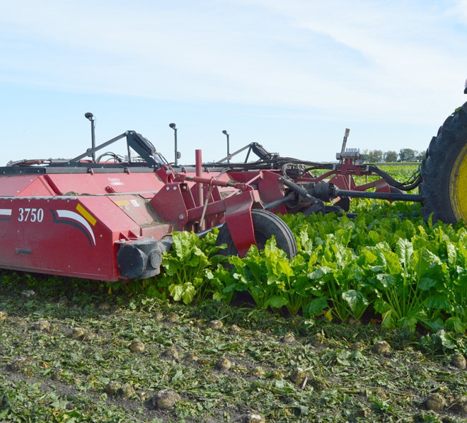 Sugar Beet Defoliators - Amity Technology