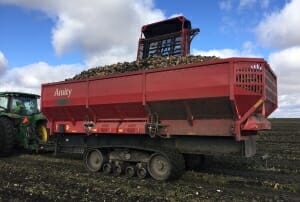 Sugar Beet Cart - Amity Technology