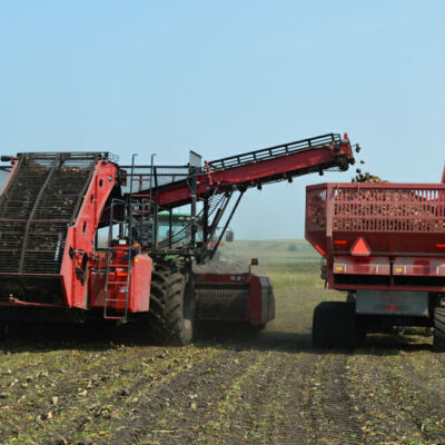 Sugar Beet Cart - Amity Technology