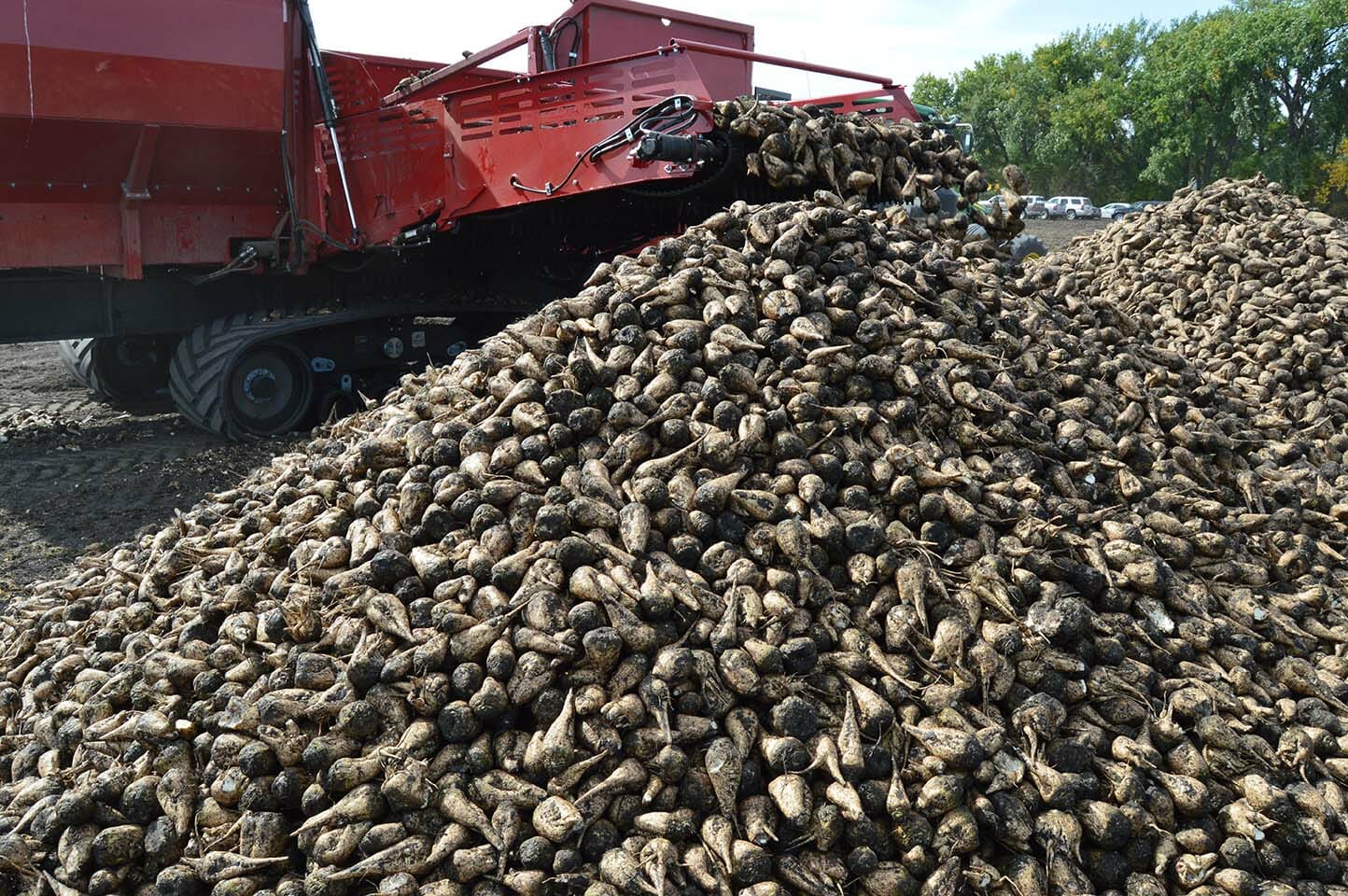 Sugar Beet Cart - Amity Technology