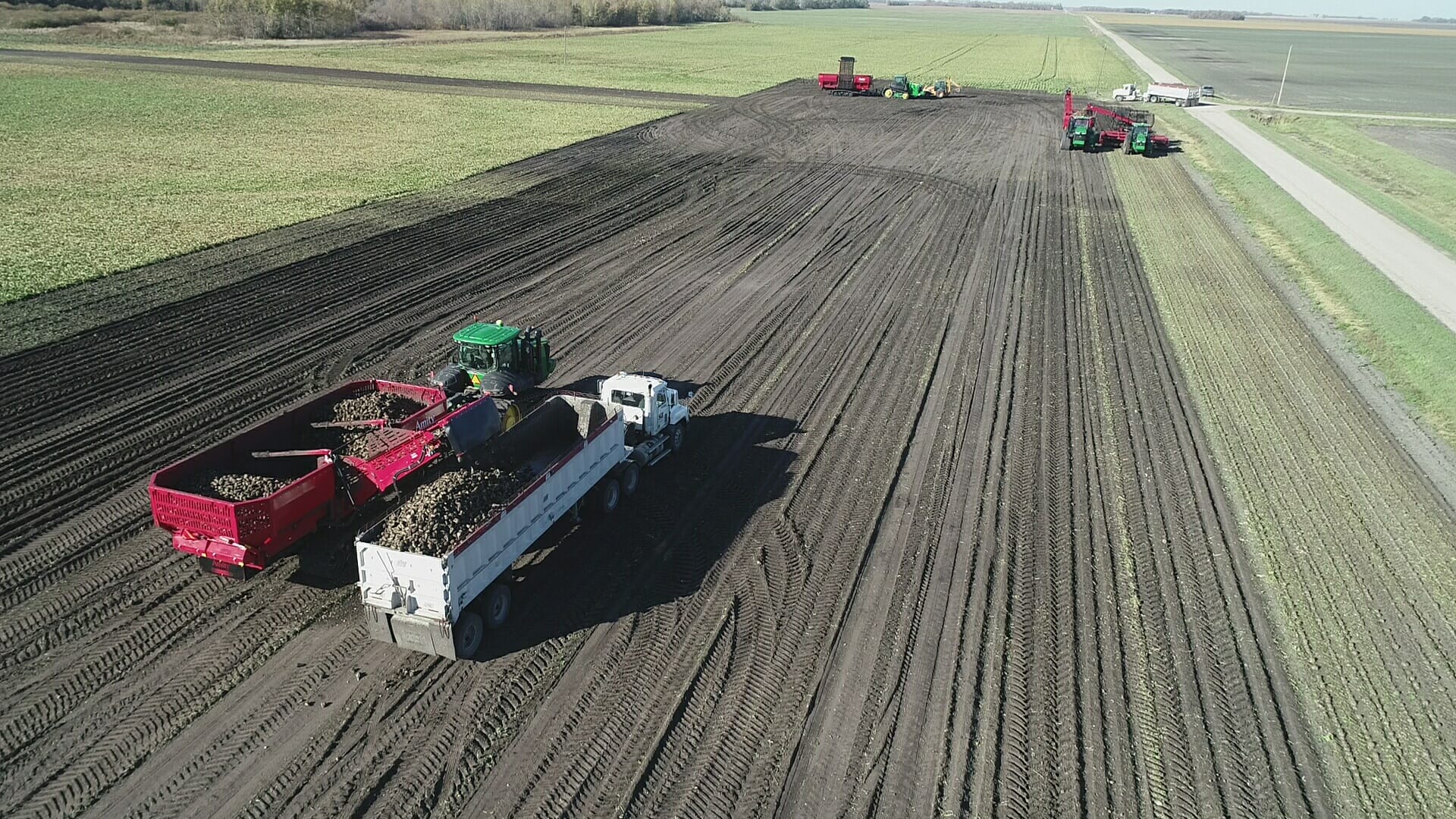 Sugar Beet Cart - Amity Technology