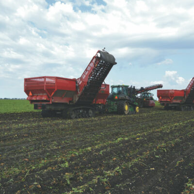 Sugar Beet Cart - Amity Technology