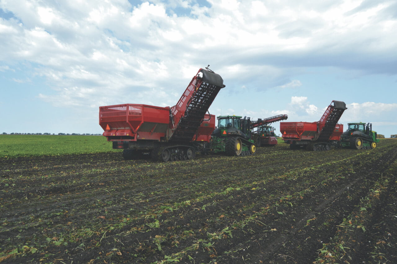 Sugar Beet Cart - Amity Technology