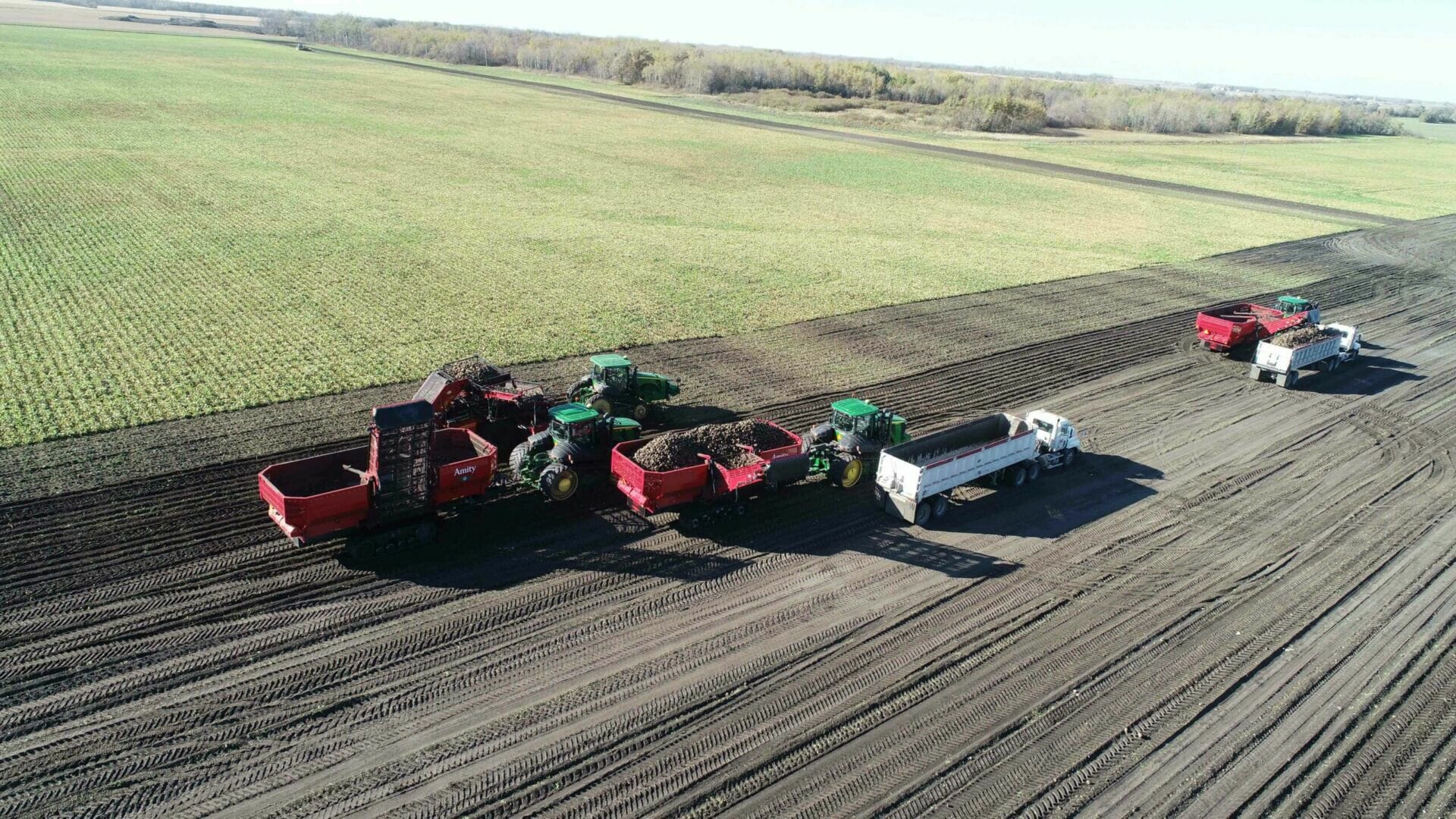 Sugar Beet Cart - Amity Technology