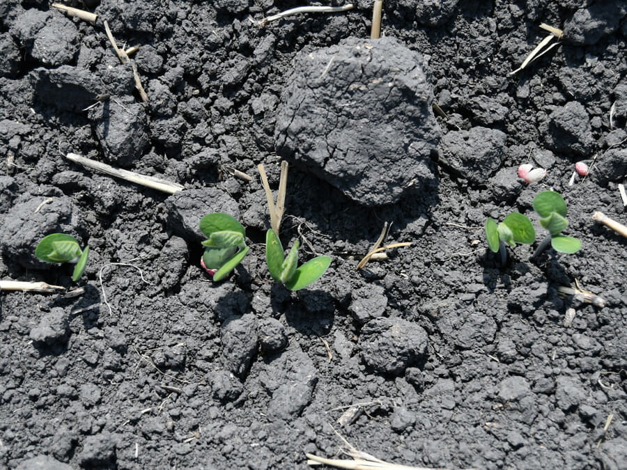 Soil Samplers - Amity Technology