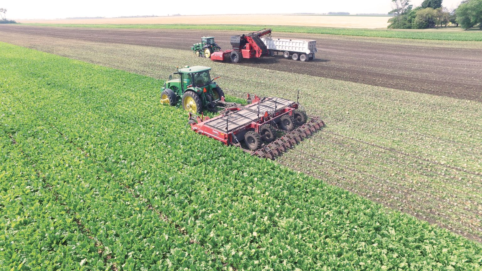 50 Series Sugar Beet Defoliators - Amity Technology