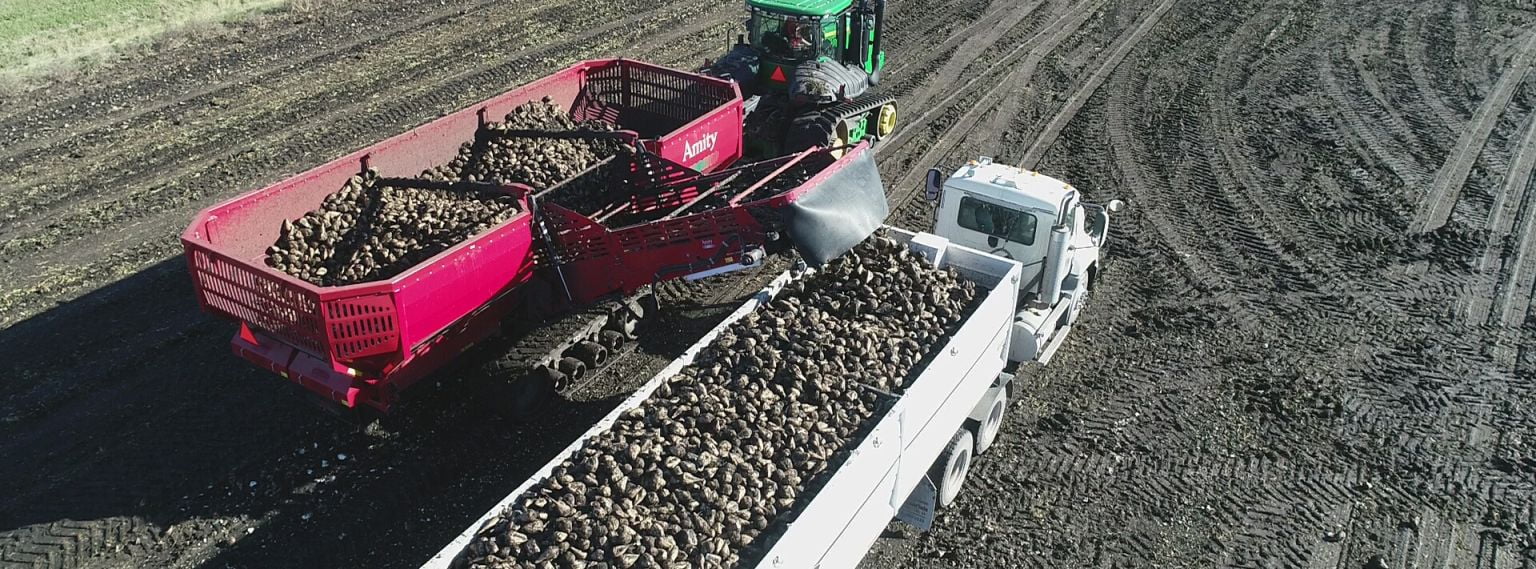 Sugar Beet Cart - Amity Technology