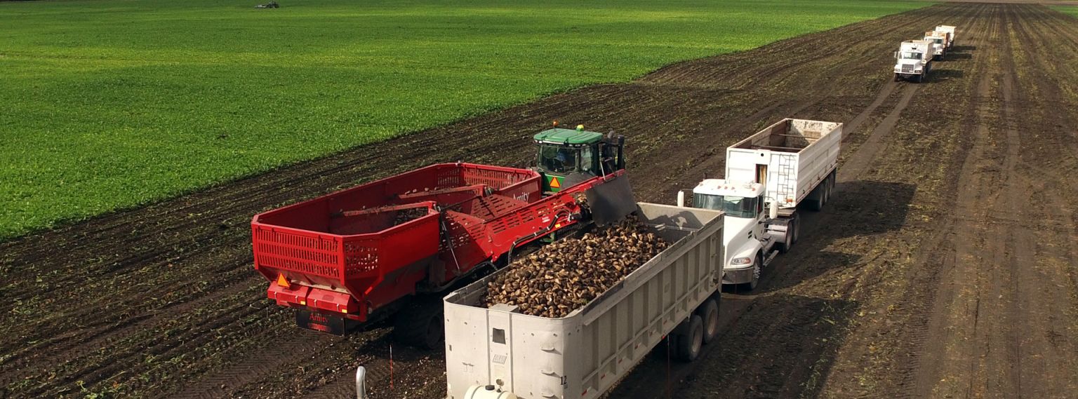 Sugar Beet Cart - Amity Technology